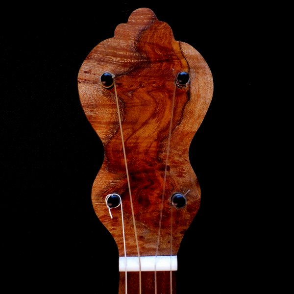 Home - Gourd Banjos by Barry