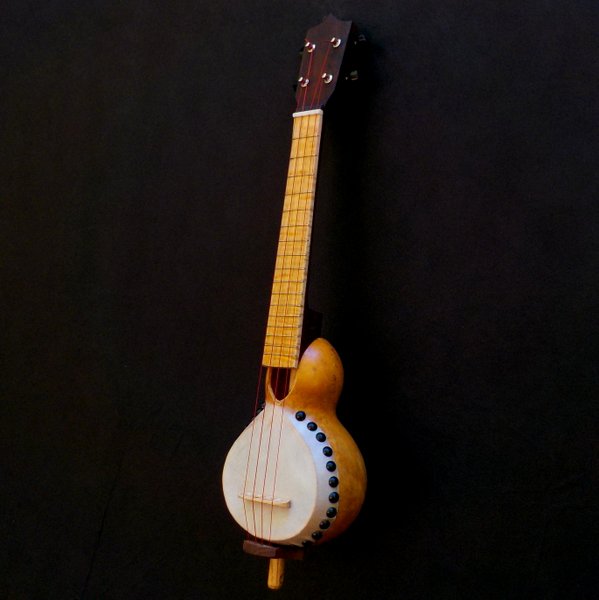 Home - Gourd Banjos by Barry