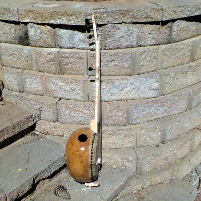 Banjo 476 Radical – Gourd Banjos by Barry