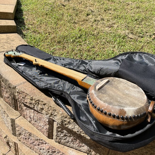 Gourd 5 string gigbag – Gourd Banjos by Barry