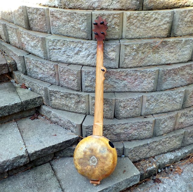 Banjo #513 Greenman 5 string fretless – Gourd Banjos by Barry