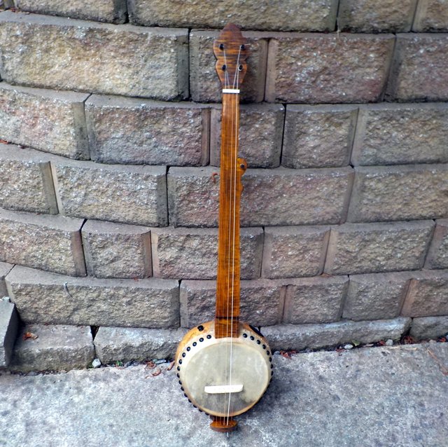 Just finished. Left-Handed .#525 5 string Fretlless Naked Maple Gourdie ...