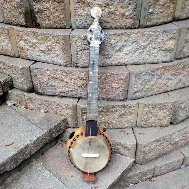 Banjolele #104T Tenor uke 17″ scale Mahogany/Curly maple fretboard ...
