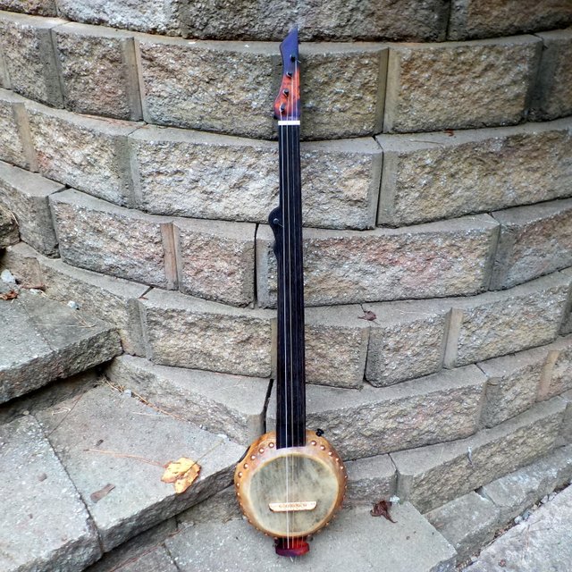 Banjo #531 Gourd fretless “Radical Hot Rod” – Gourd Banjos by Barry