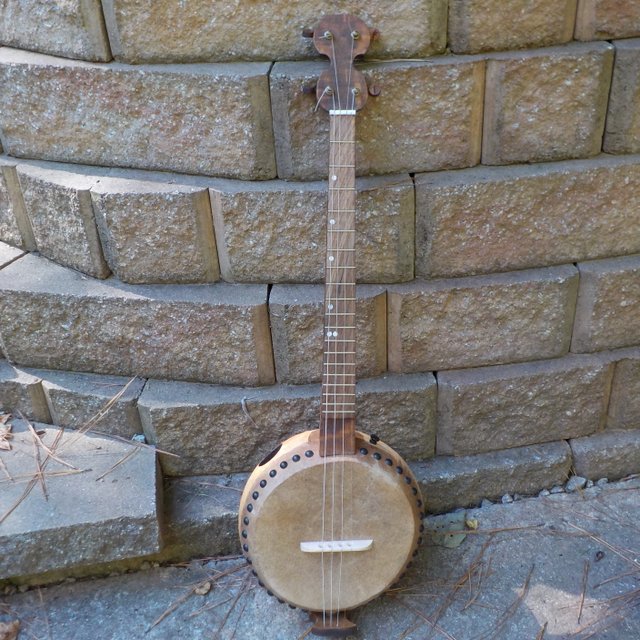 Banjo #534 Gourd Tenor 4 string Irish tuning EADG – Gourd Banjos by Barry