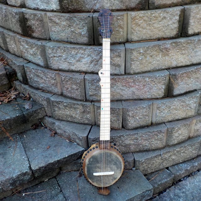 Banjo #541 Naked Maple fretted 5 string Goudie – Gourd Banjos by Barry